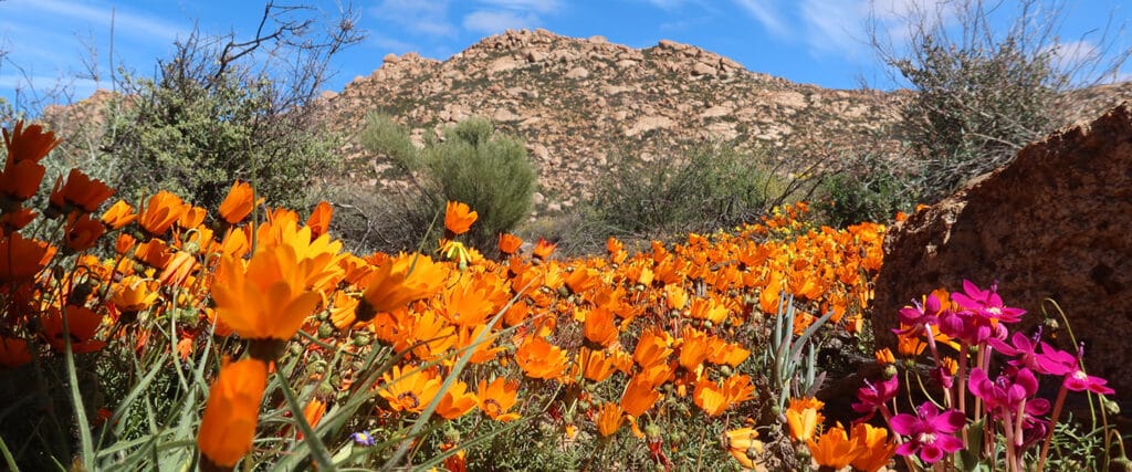 Photo: Mary Willemse, Adventure Afrika