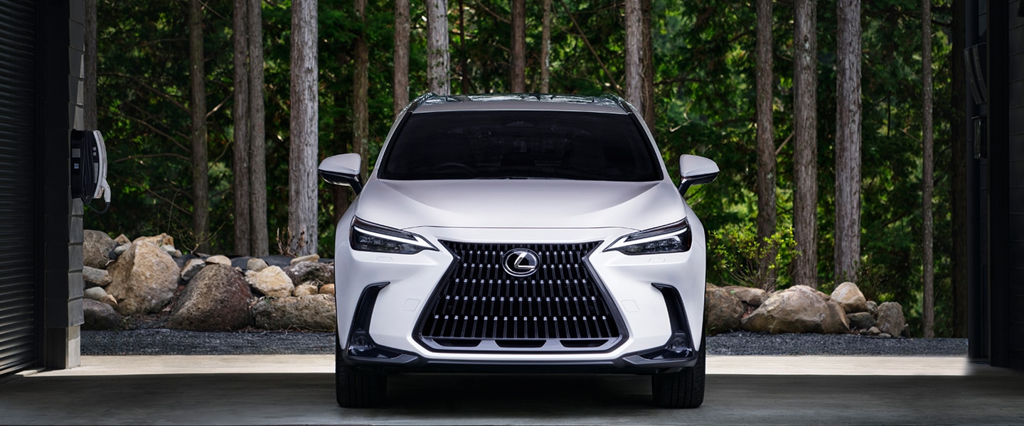 A line-up of electrified luxury
