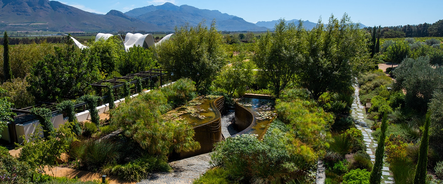 Bosjes Farm's Award-winning Planted Gardens | Lexus Life