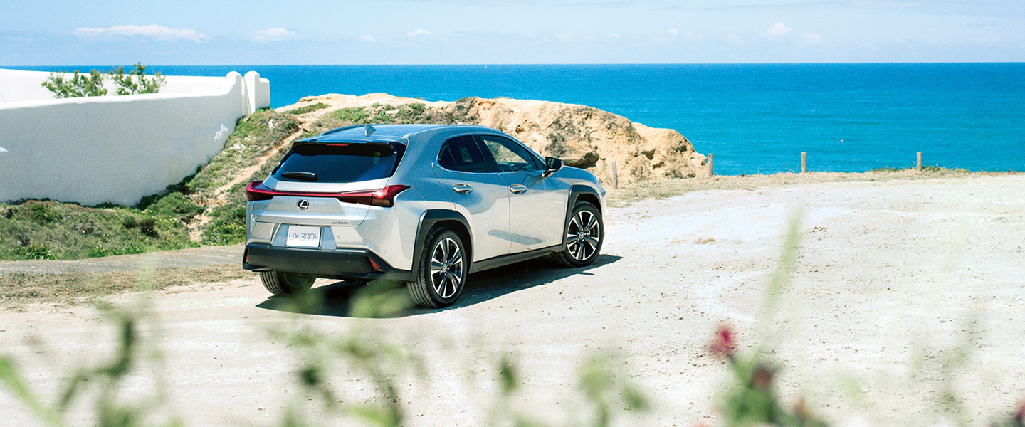 The Lexus UX rear angle