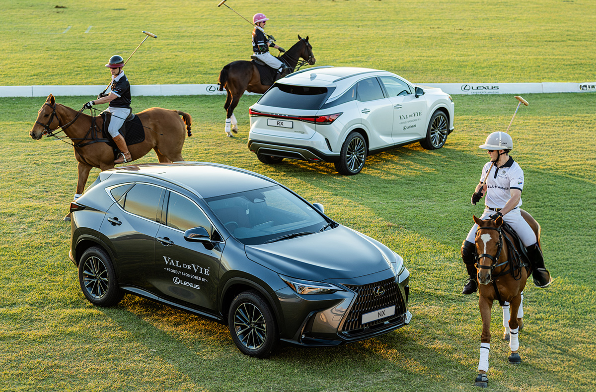 'From the start, nobody was ever bigger than polo. Whether you own one ...